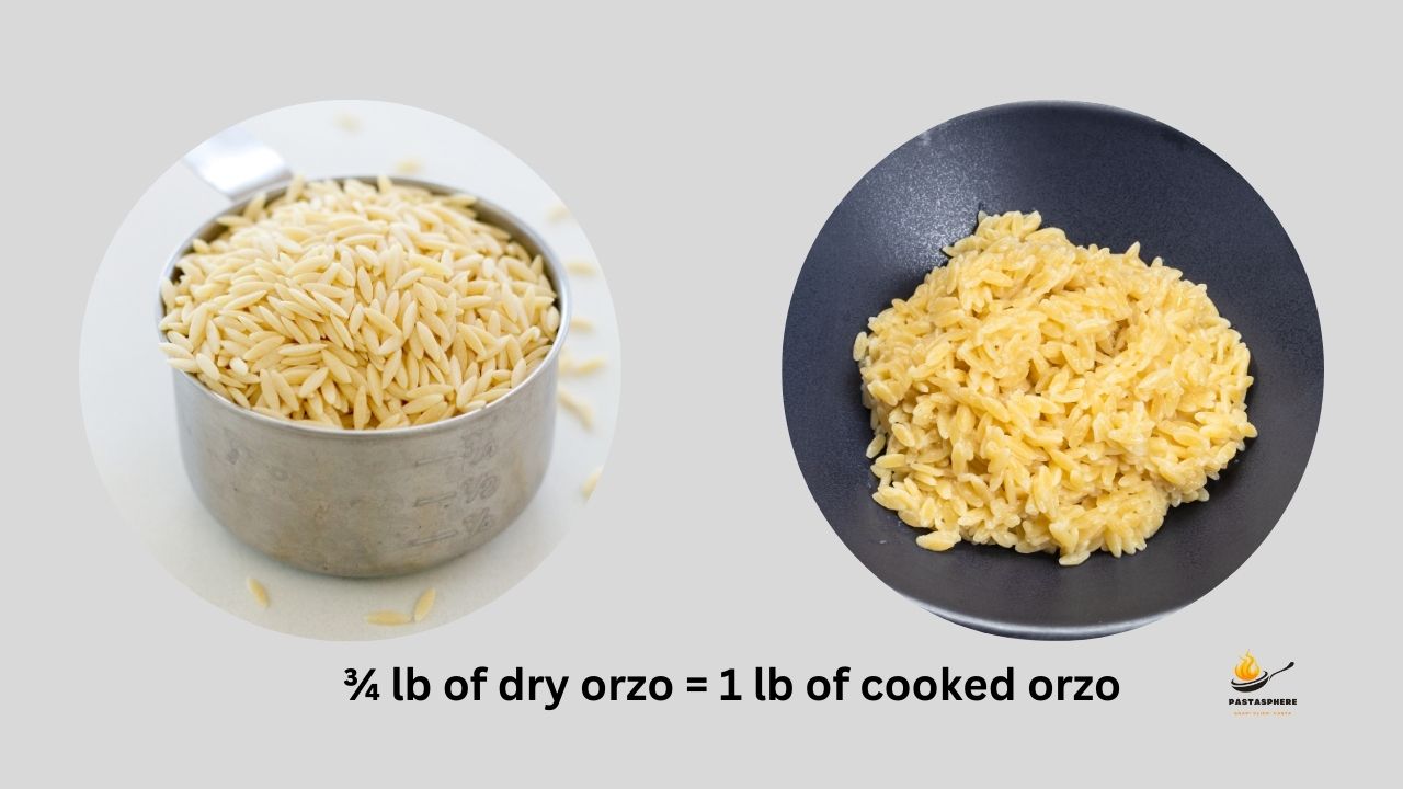 1 lb Cooked Pasta Is How Much Dry Penne: Accurate Pasta Conversions